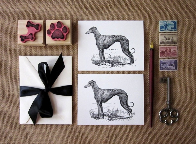 Whippet Greyhound Dog Note Cards Set of 10 With Matching - Etsy