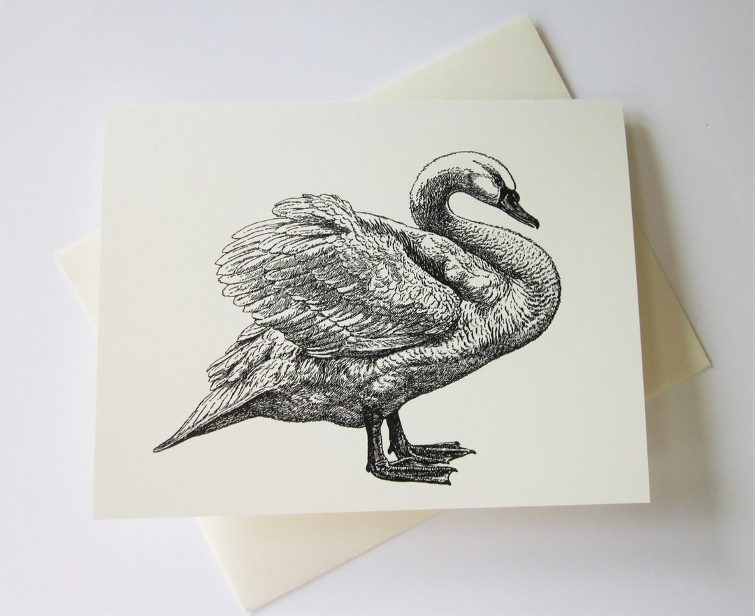 Swan Note Cards Set of 10 With Matching Envelopes - Etsy