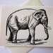 Elephant Note Cards Stationery Set of 10 Cards - Etsy
