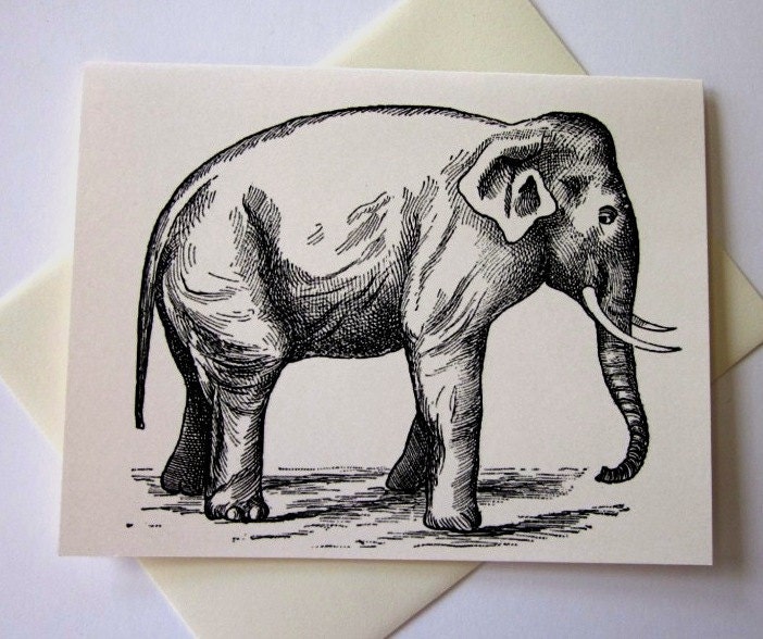 Elephant Note Cards Stationery Set of 10 Cards | Etsy
