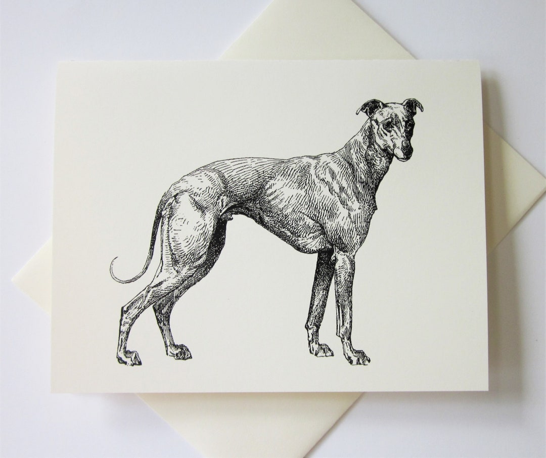 Greyhound Dog Note Cards Set of 10 With Matching Envelopes - Etsy