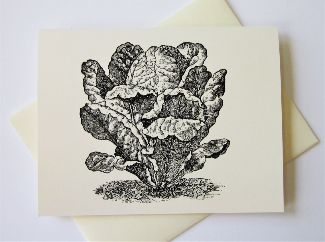 Vegetable Note Cards Set of 10 With Matching Envelopes - Etsy