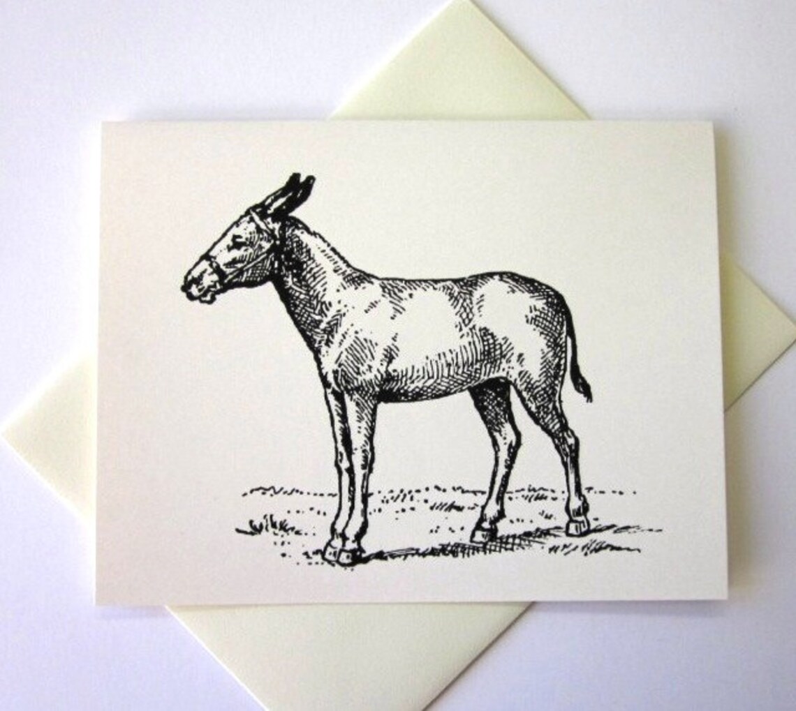 Donkey Burro Note Cards Stationery Set of 10 Cards in White or - Etsy