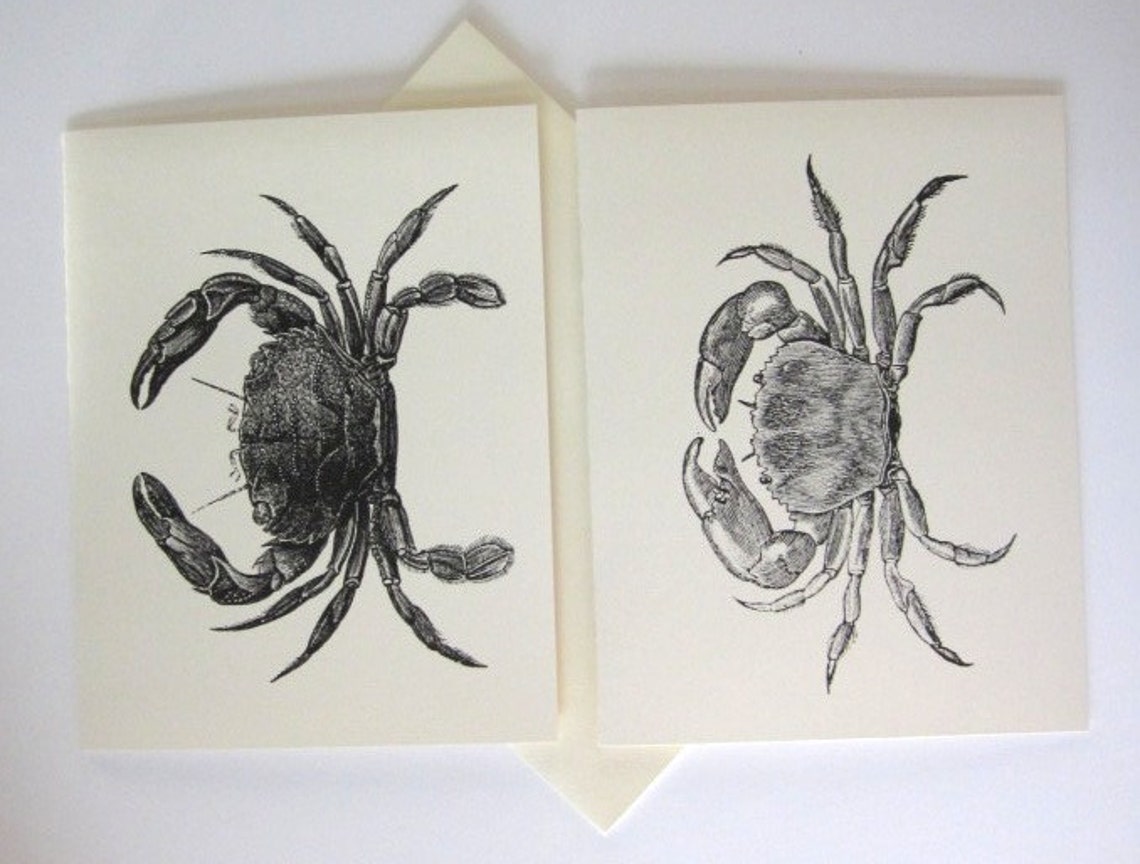 Crab Note Cards Set of 10 With Matching Envelopes - Etsy