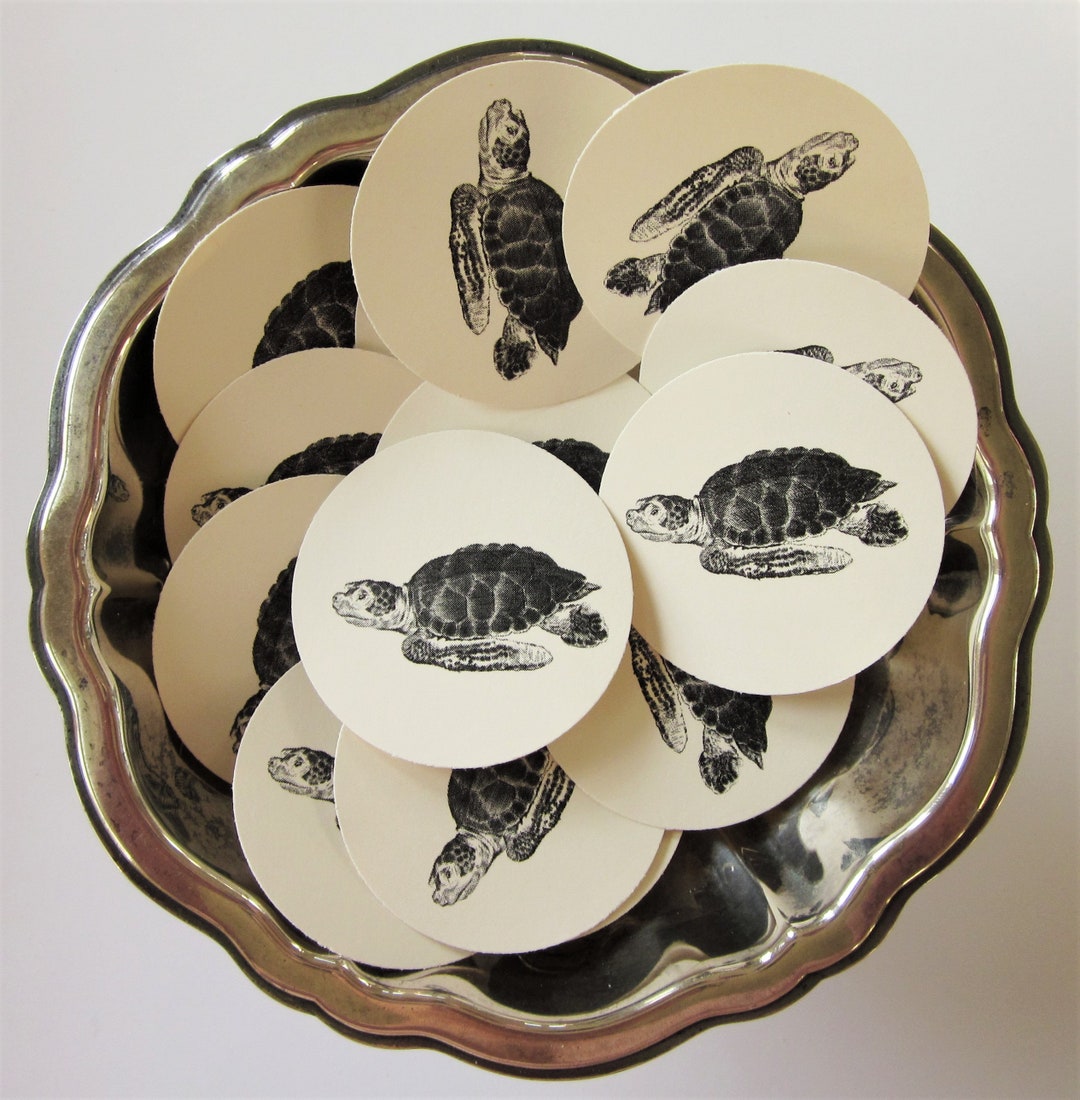 Sea Turtle Tags Round Paper Gift Tags Set of 10 - Etsy