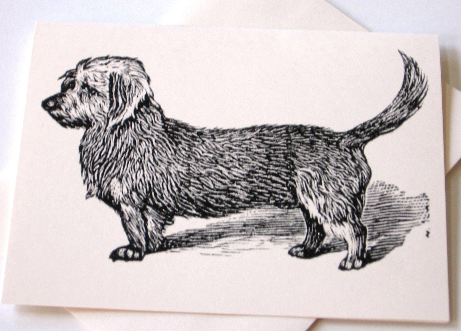 Dog Note Cards Stationery Set of 4 Cards in White or Light - Etsy