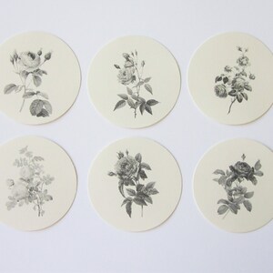 Rose Floral Flower Tags Round Paper Gift Tags Set of 10 - Etsy