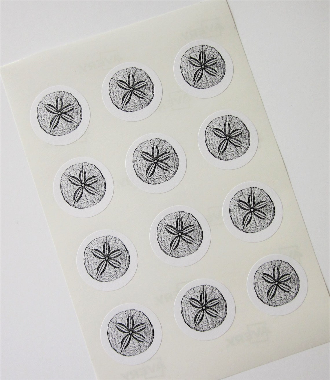 Sand Dollar Stickers One Inch Round Seals - Etsy