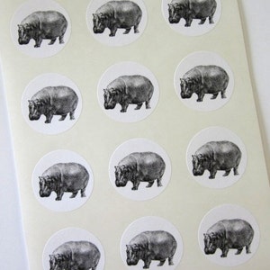 Hippo Hippopotamus Stickers One Inch Round Seals - Etsy
