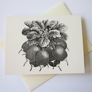 Vegetable Note Cards Set of 10 With Matching Envelopes - Etsy