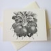 Vegetable Note Cards Set of 10 With Matching Envelopes - Etsy