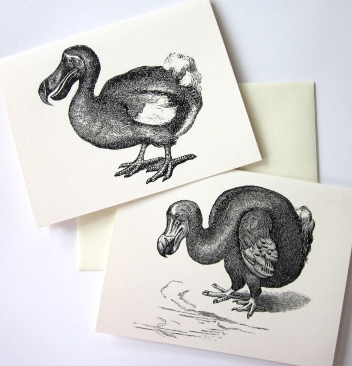Dodo Bird Note Card Set of 10 in White or Light Ivory With | Etsy