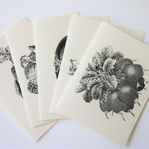 Vegetable Note Cards Set of 10 With Matching Envelopes - Etsy