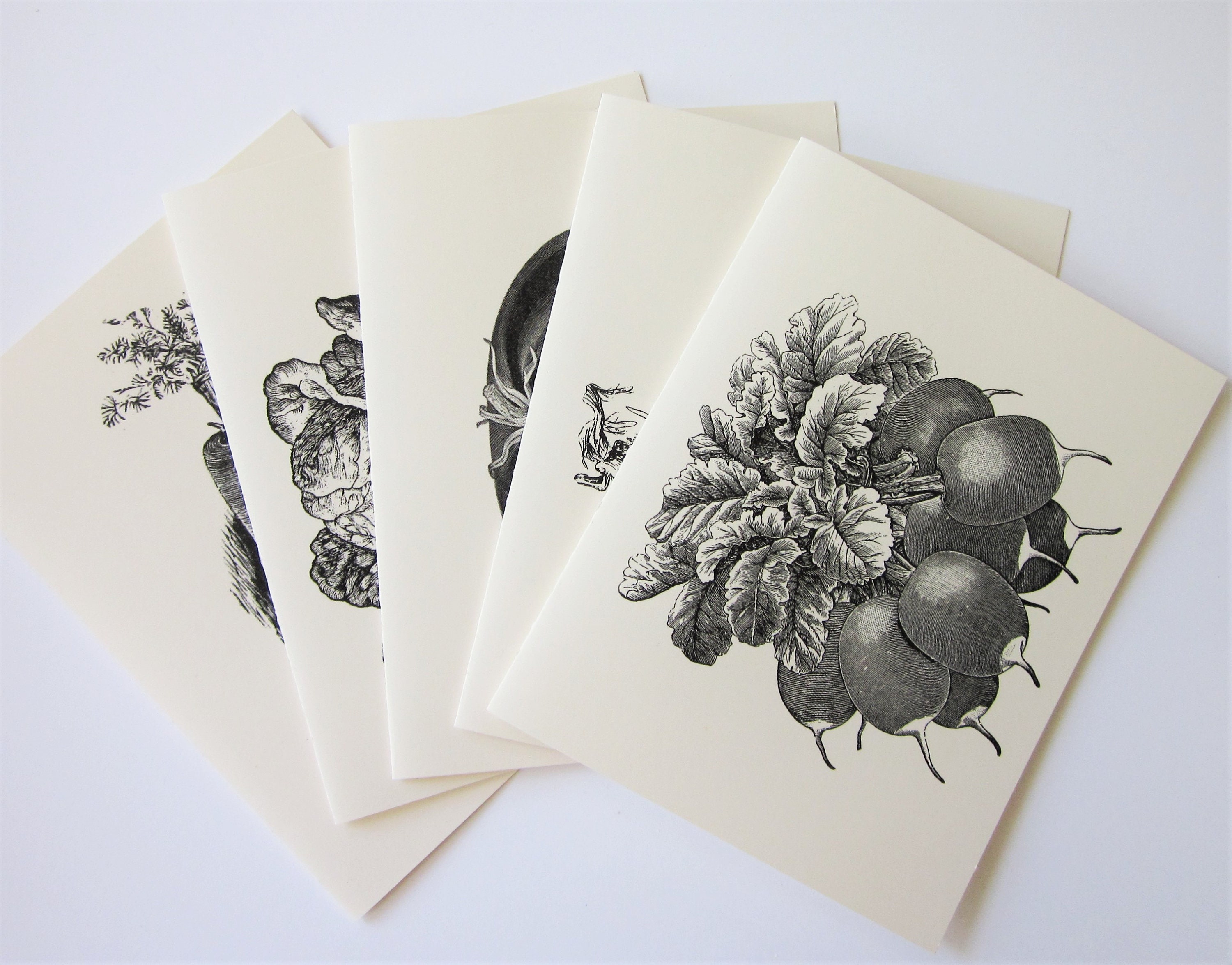 Vegetable Note Cards Set of 10 With Matching Envelopes - Etsy
