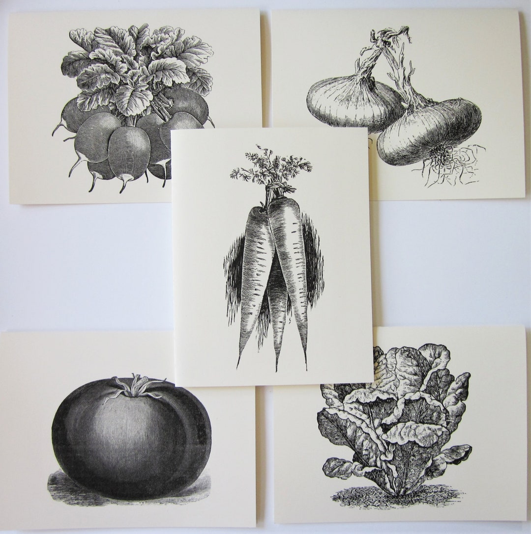 Vegetable Note Cards Set of 10 With Matching Envelopes - Etsy