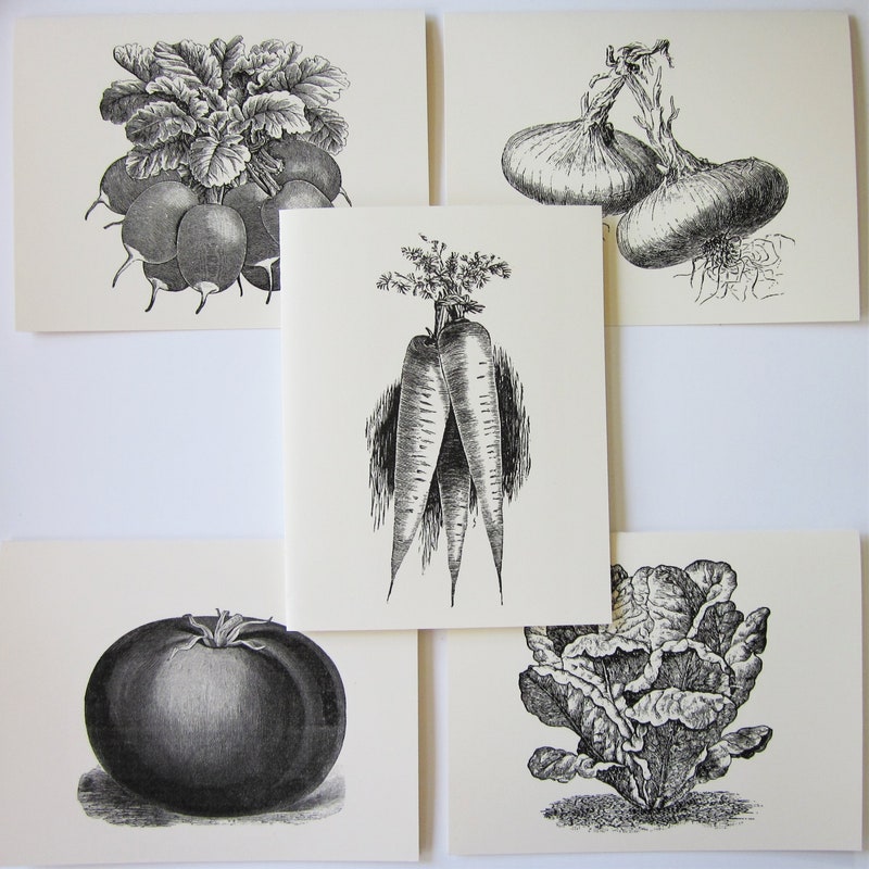 Vegetable Cards - Etsy