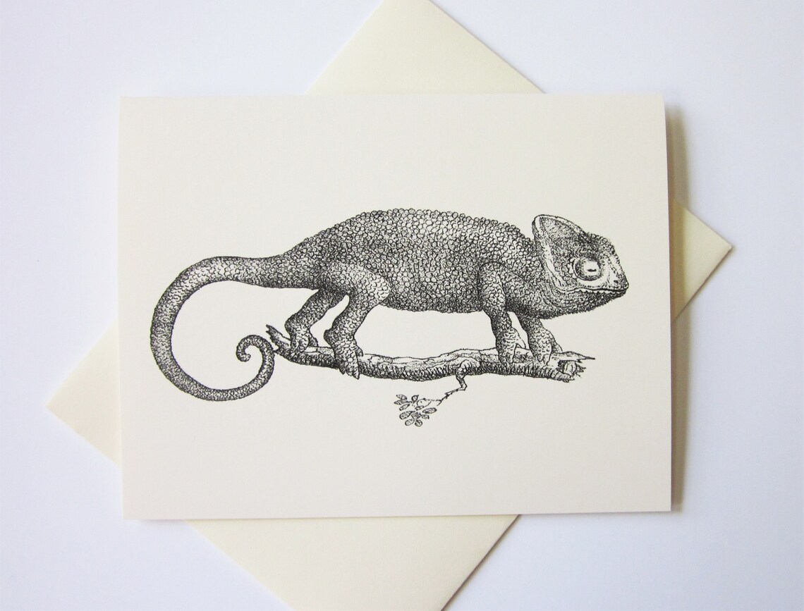 Chameleon Lizard Note Cards Stationery Set of 10 Cards in | Etsy