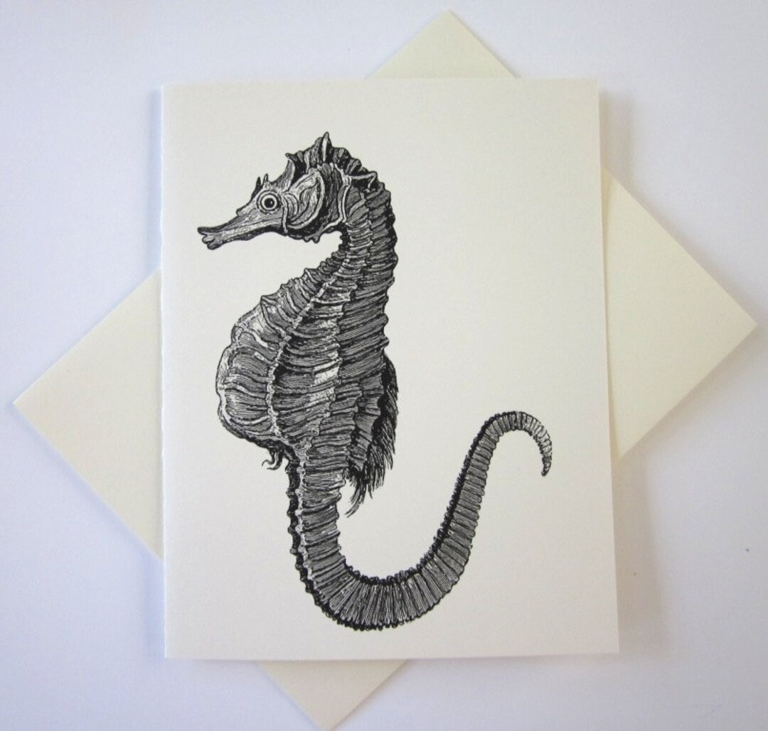 Seahorse Note Cards Stationery Set of 10 Cards in White or Light Ivory ...