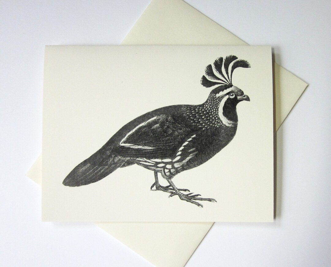 Quail Bird Note Cards Set of 10 With Matching Envelopes - Etsy