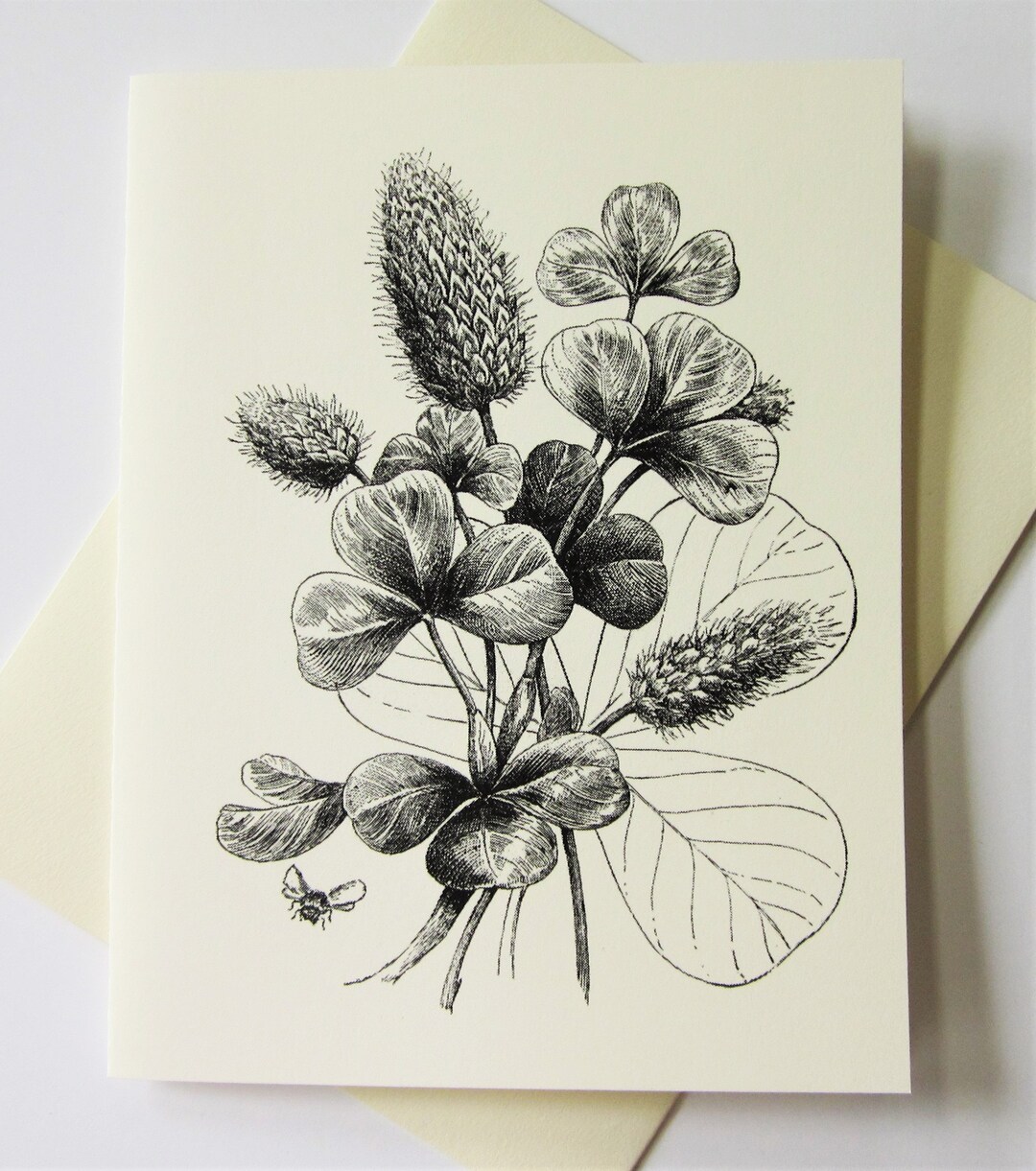Clover Note Cards Stationery Set of 10 Cards in White or Light Ivory ...