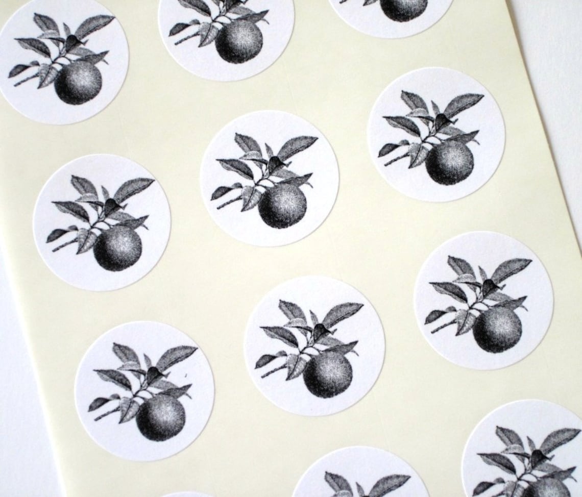 Orange Fruit Stickers One Inch Round Seals - Etsy