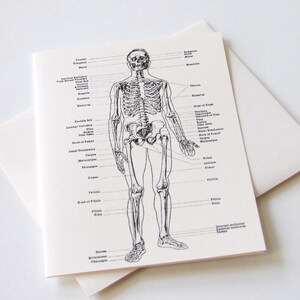 Skeleton Notecards Set of 10 With Matching Envelopes - Etsy