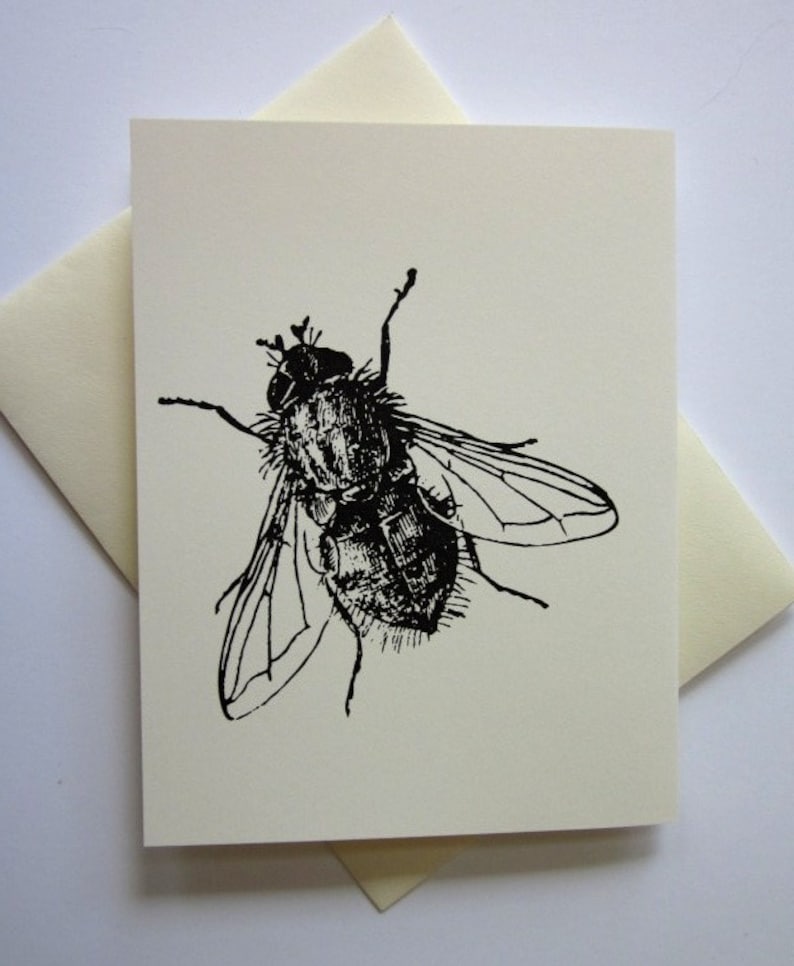 Fly Insect Bug Note Cards Stationery Set of 10 Cards in White | Etsy