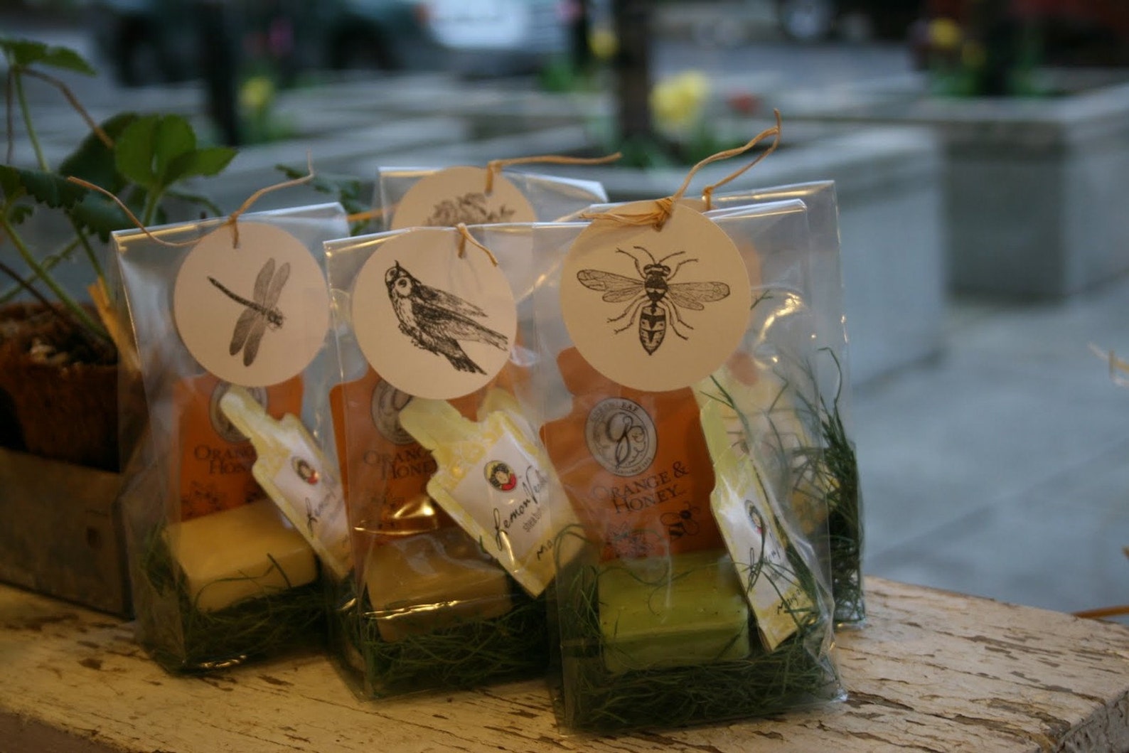 Butterfly Tags Round Gift Tags Set of 10 - Etsy