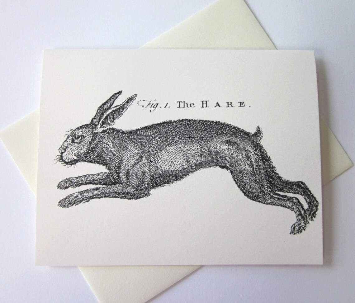 Hare Rabbit Bunny Tags Round Gift Tags Set of 10 - Etsy
