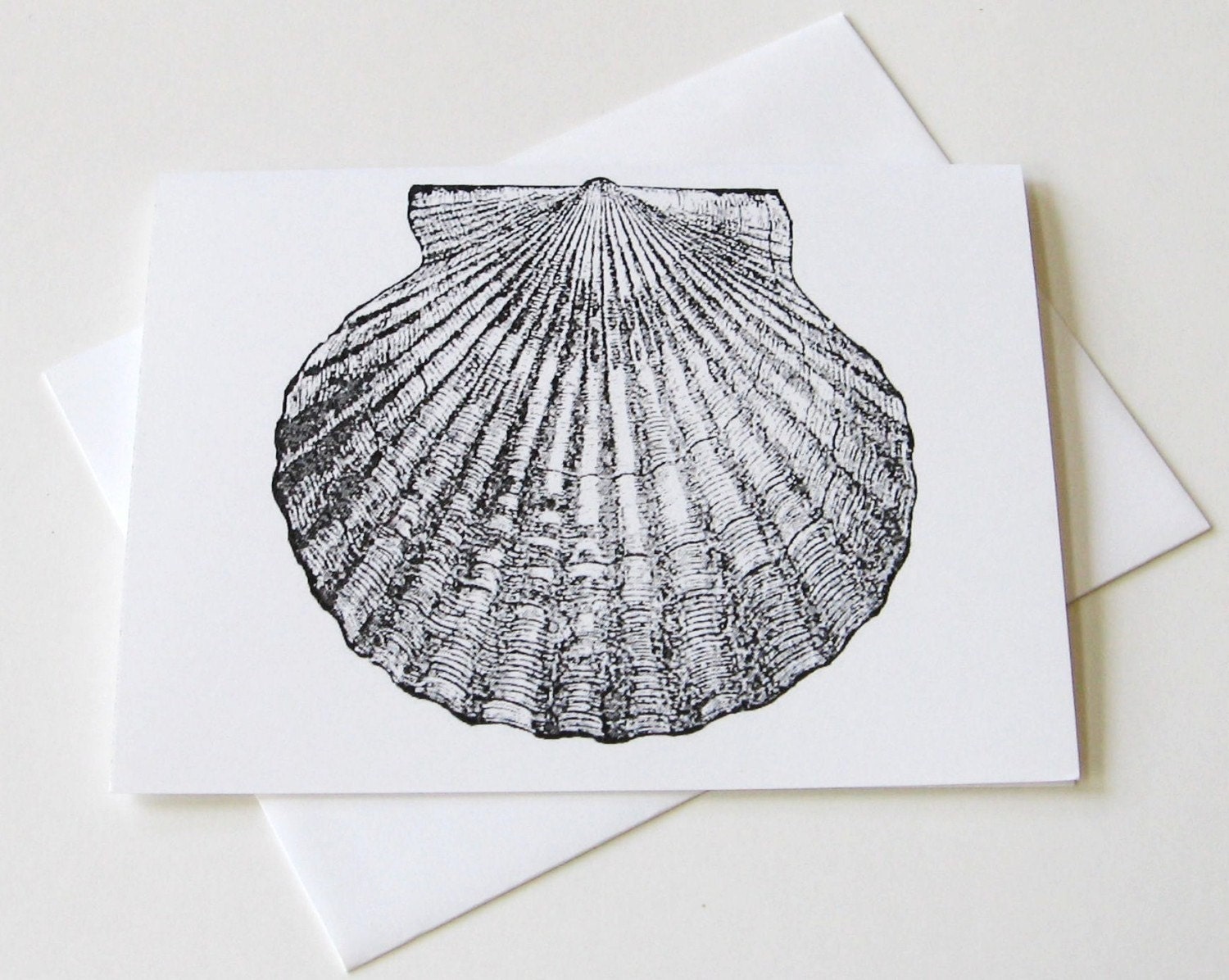 Scalloped Shell Note Cards Stationery Set of 4 Cards in White or Light ...