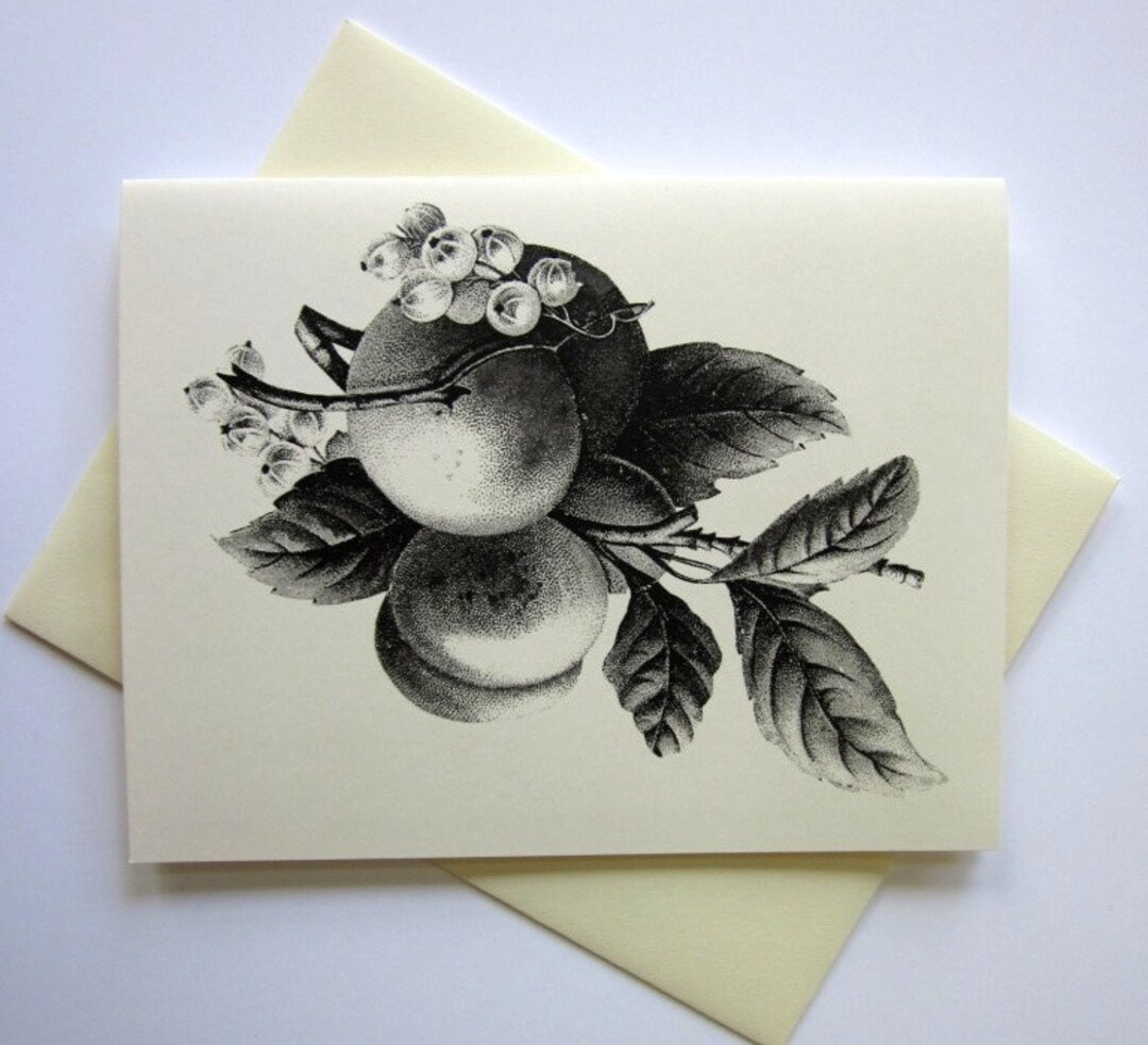 Peach Fruit Cards Set of 10 in White or Light Ivory With Matching ...