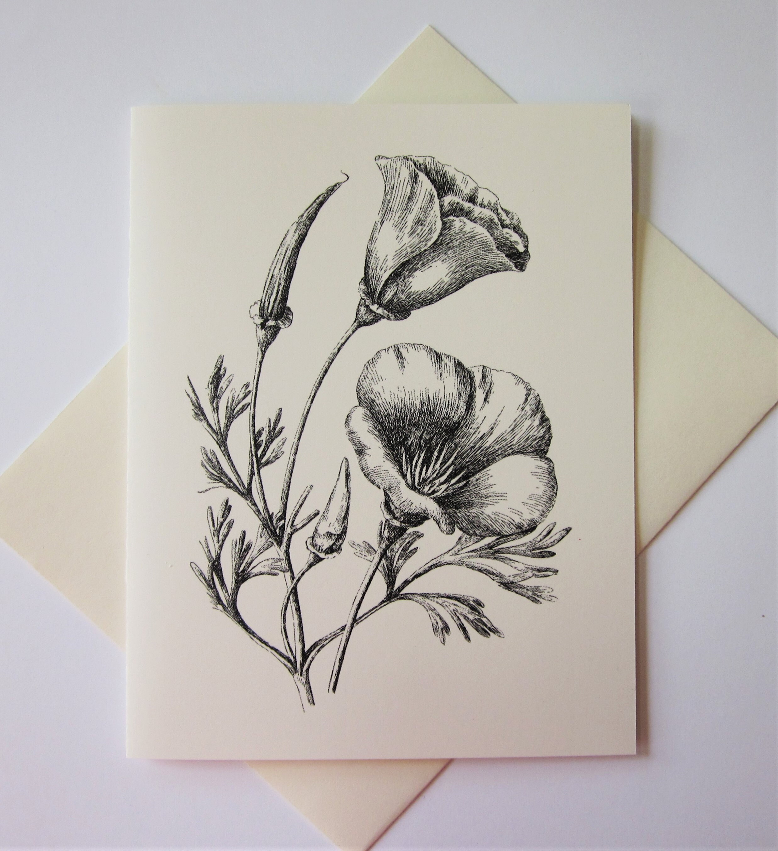 Poppies Poppy Flower Note Cards Set of 10 With Matching - Etsy