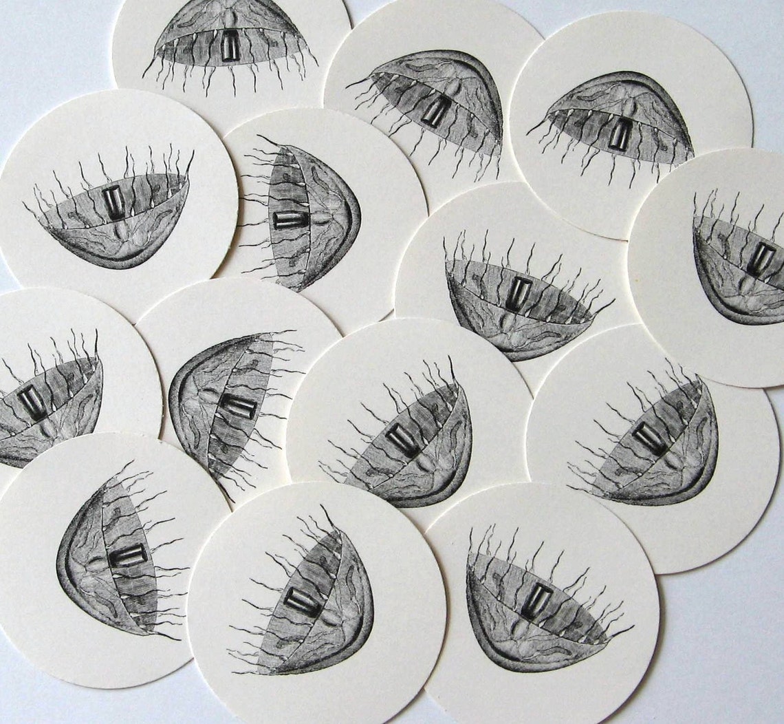 Jellyfish Tags Round Gift Tags Set of 10 - Etsy