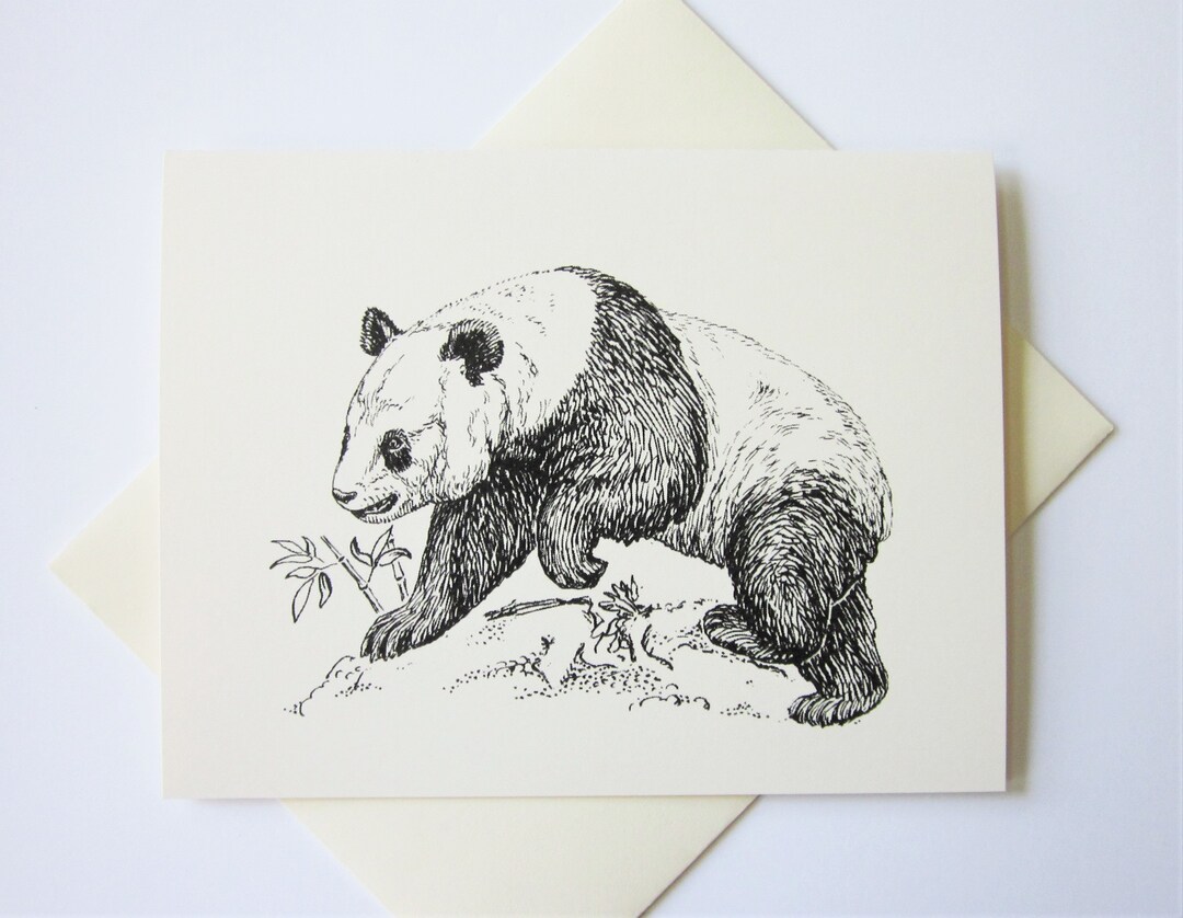 Panda Note Cards Set of 10 With Matching Envelopes - Etsy