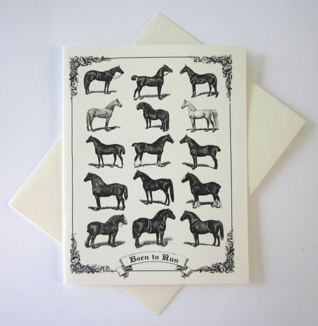 Horse Cards Set of 10 in White or Light Ivory With Matching Envelopes ...