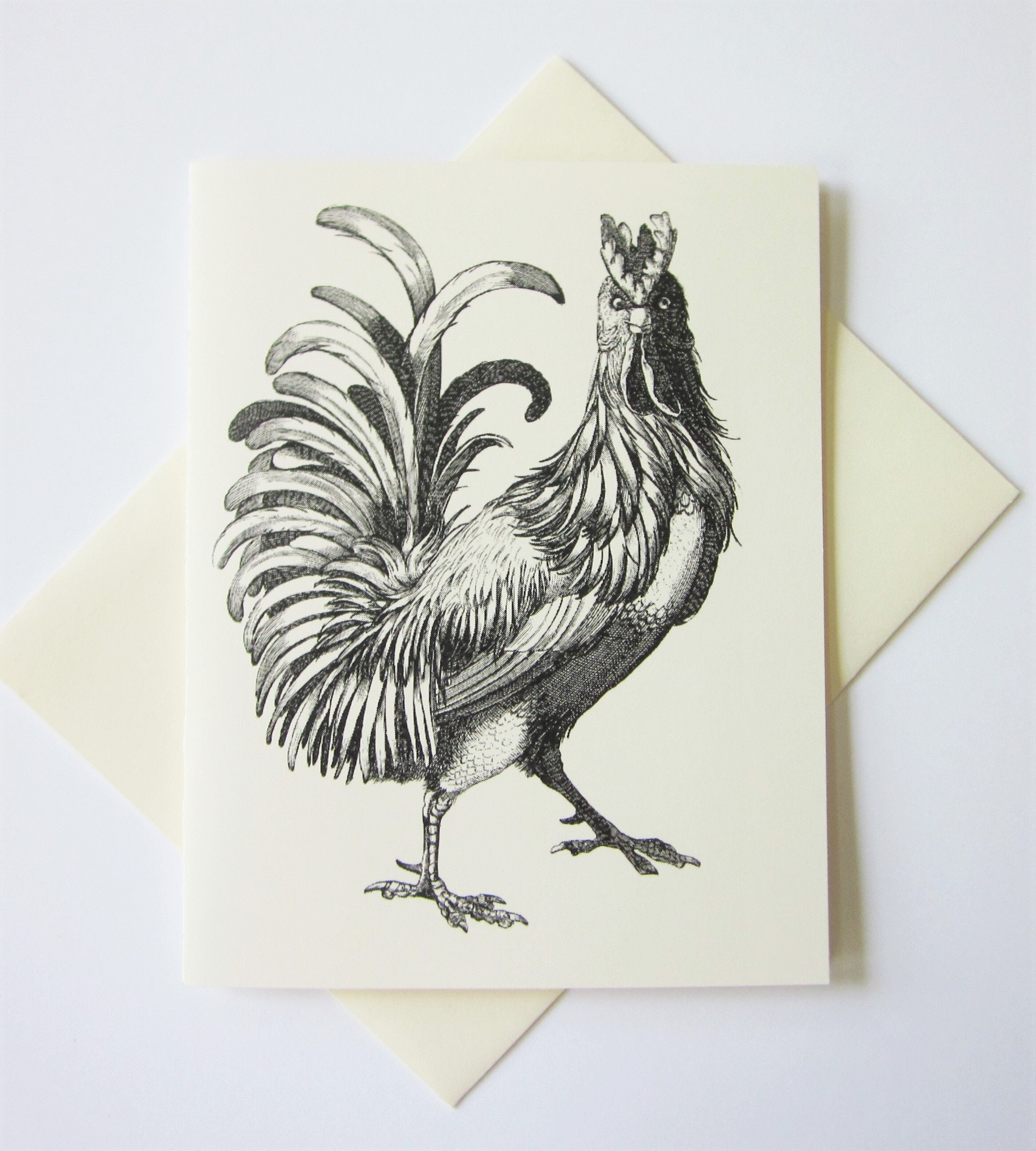 Rooster Chicken Note Cards Stationery Set of 10 Cards - Etsy UK