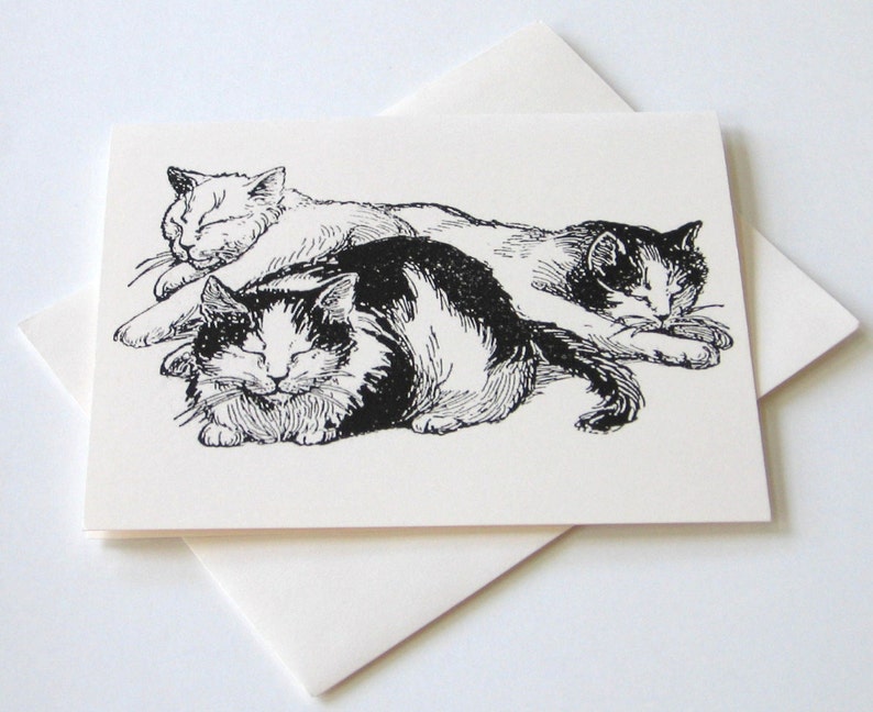 Kitten and Cat Folded Note Card Set of 10 in White or Ivory - Etsy