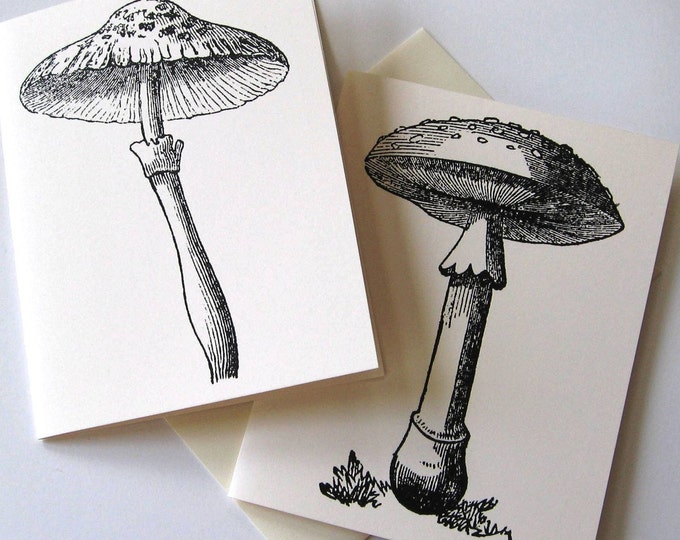 Pine Cone Note Cards Stationery Set of 10 Cards With Matching - Etsy