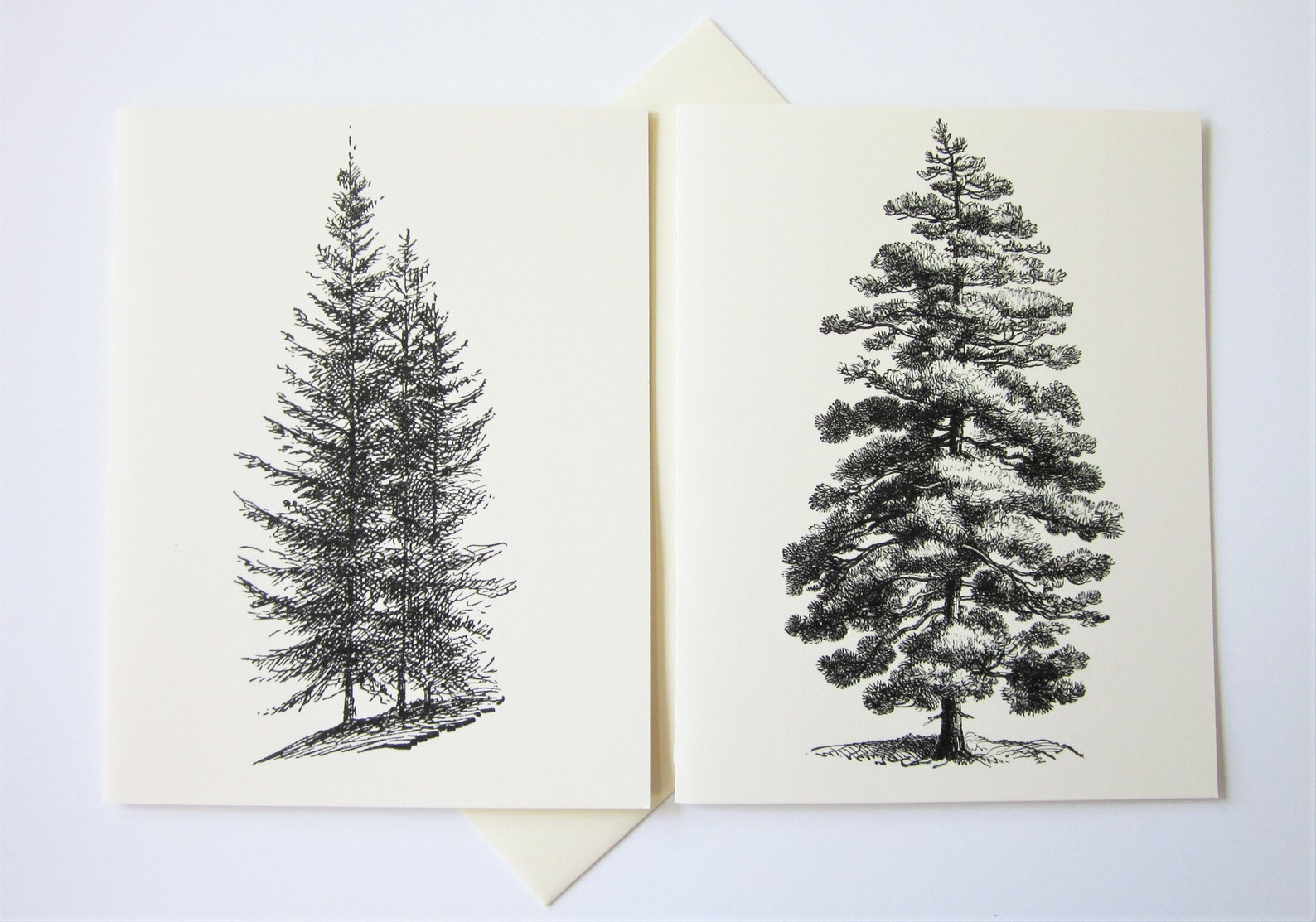 Pine Tree Note Card Set of 10 in White or Light Ivory With Matching ...