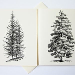 Pine Tree Note Card Set of 10 in White or Light Ivory With Matching ...