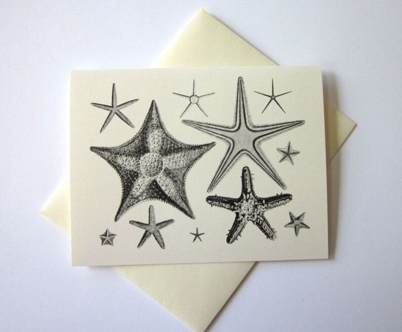 Starfish Stationery Note Cards Set of 10 With Matching | Etsy