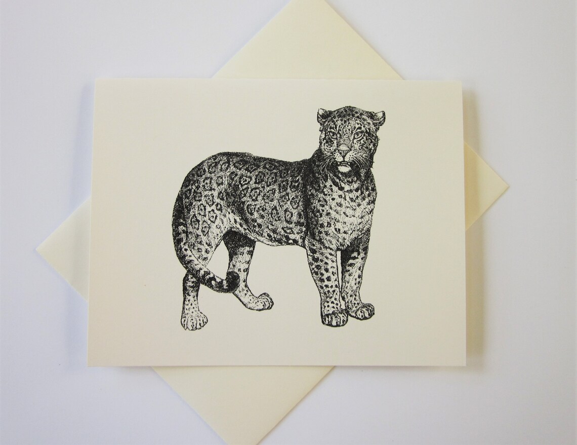 Leopard Note Cards Set of 10 With Matching Envelopes - Etsy