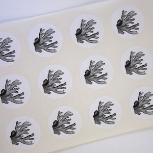 Coral Stickers One Inch Round Seals - Etsy