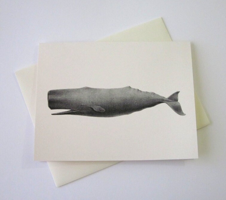 Whale Note Cards Stationery Set of 10 Cards With Matching - Etsy
