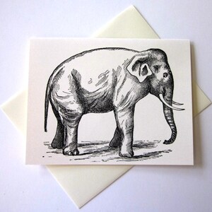 Elephant Note Cards Stationery Set of 10 Cards - Etsy