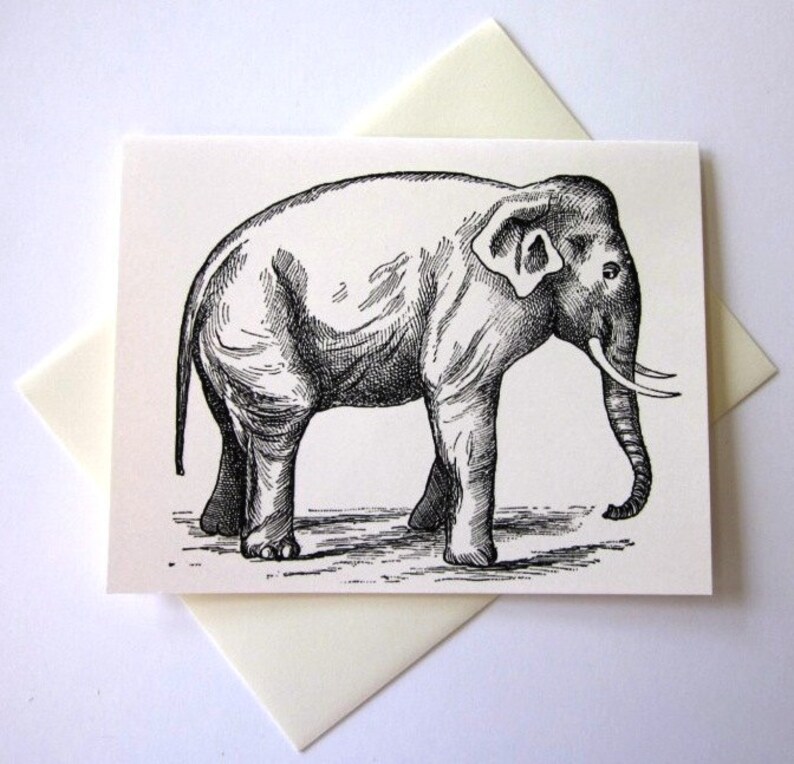 Elephant Note Cards Stationery Set of 10 Cards - Etsy