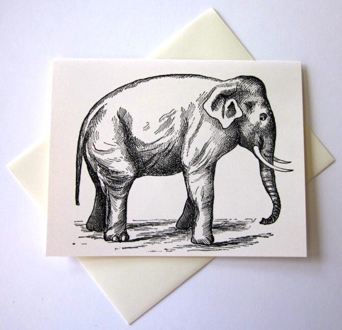Elephant Note Cards Stationery Set of 10 Cards | Etsy
