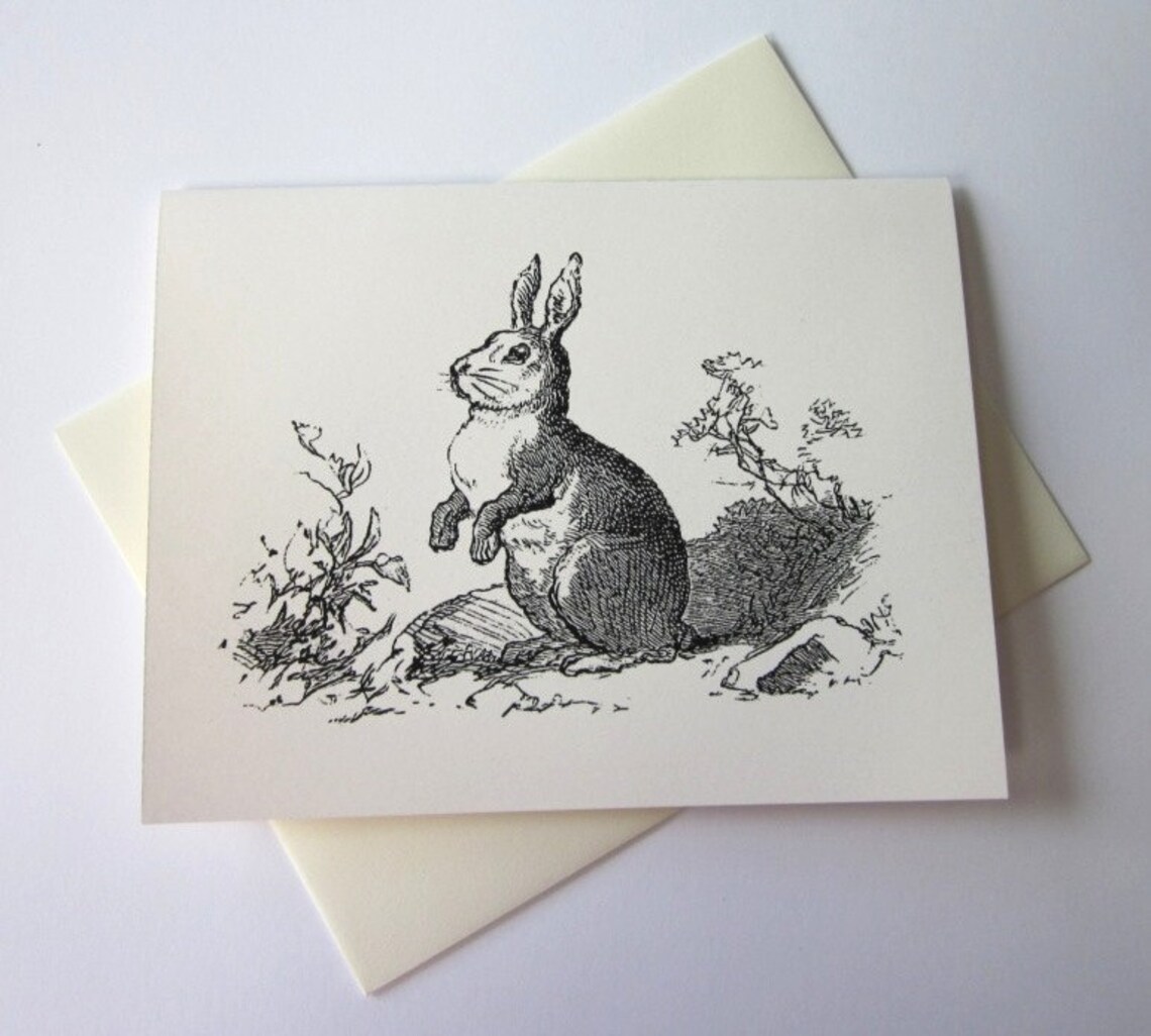 Rabbit Bunny Note Cards Stationery Set of 10 Cards in White or - Etsy