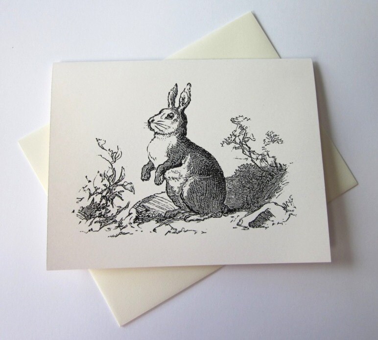 Rabbit Bunny Note Cards Stationery Set of 10 Cards in White or - Etsy
