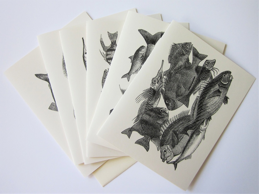 Fish Note Cards Set of 12 With Matching Envelopes - Etsy